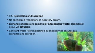 Study of animals from Protozoa, (Amoeba, Paramecium, Euglena) and ...