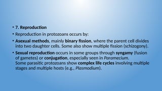 Study of animals from Protozoa, (Amoeba, Paramecium, Euglena) and ...