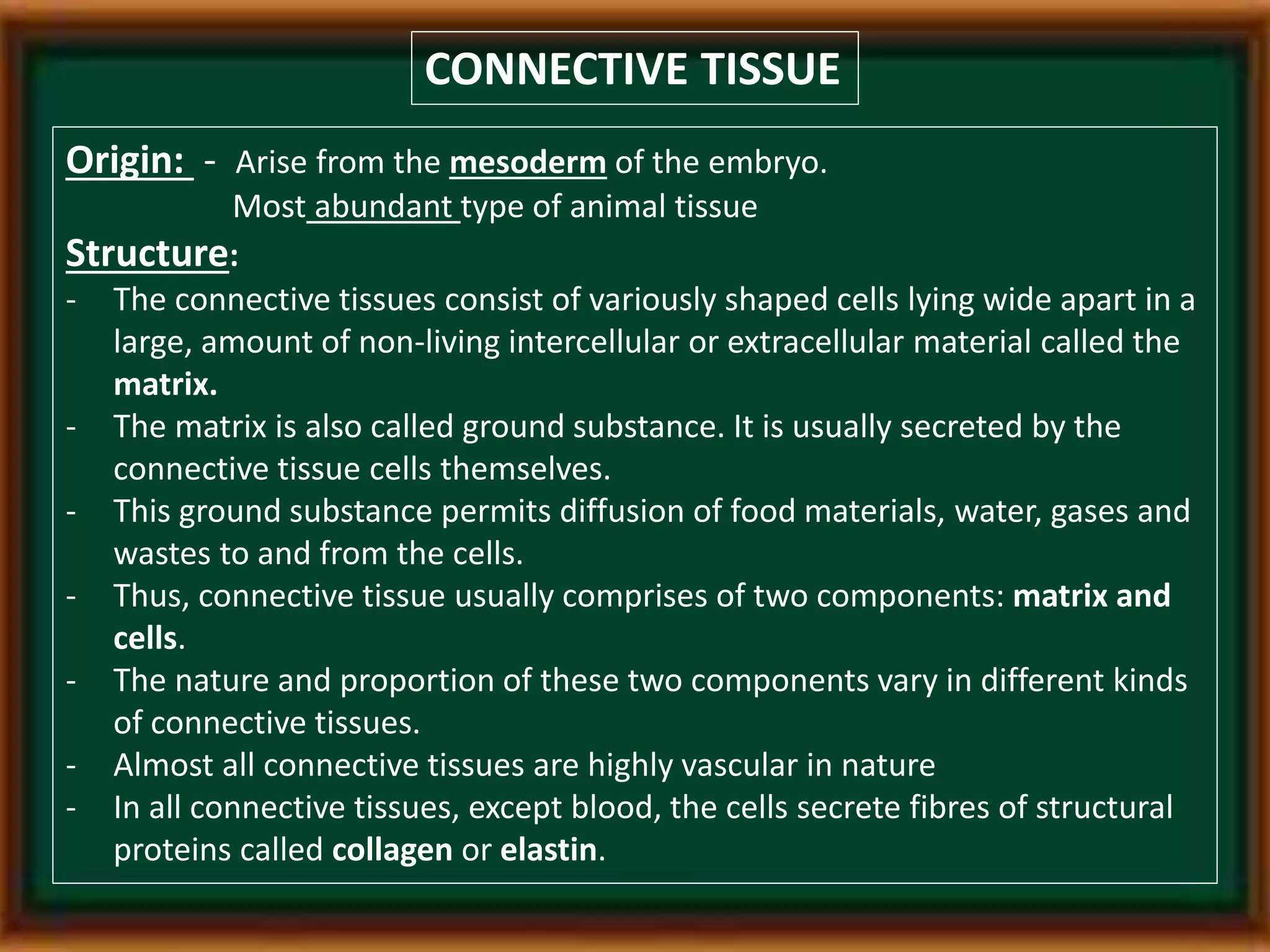 Study of animal tissue | PPTX