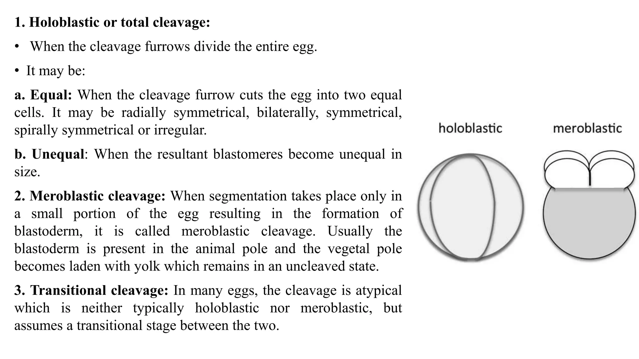 STUDY OF CLEAVAGE BLASTULA, GASTRULA.pptx