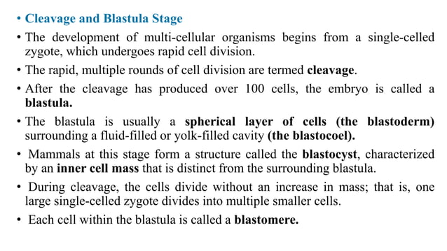 STUDY OF CLEAVAGE BLASTULA, GASTRULA.pptx | Geography | Science