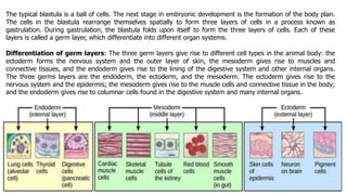 STUDY OF CLEAVAGE BLASTULA, GASTRULA.pptx | Geography | Science