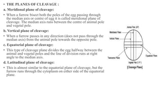 STUDY OF CLEAVAGE BLASTULA, GASTRULA.pptx