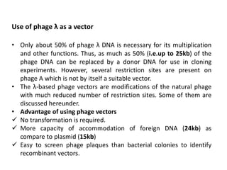 Recombinant DNA Technology- Study of cloning vectors.pptx