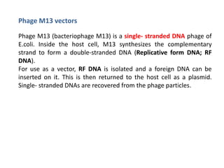 Recombinant DNA Technology- Study of cloning vectors.pptx