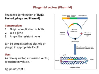 Recombinant DNA Technology- Study of cloning vectors.pptx