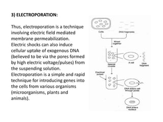 Recombinant DNA Technology- Study of cloning vectors.pptx