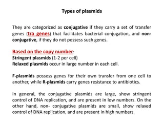 Recombinant DNA Technology- Study of cloning vectors.pptx