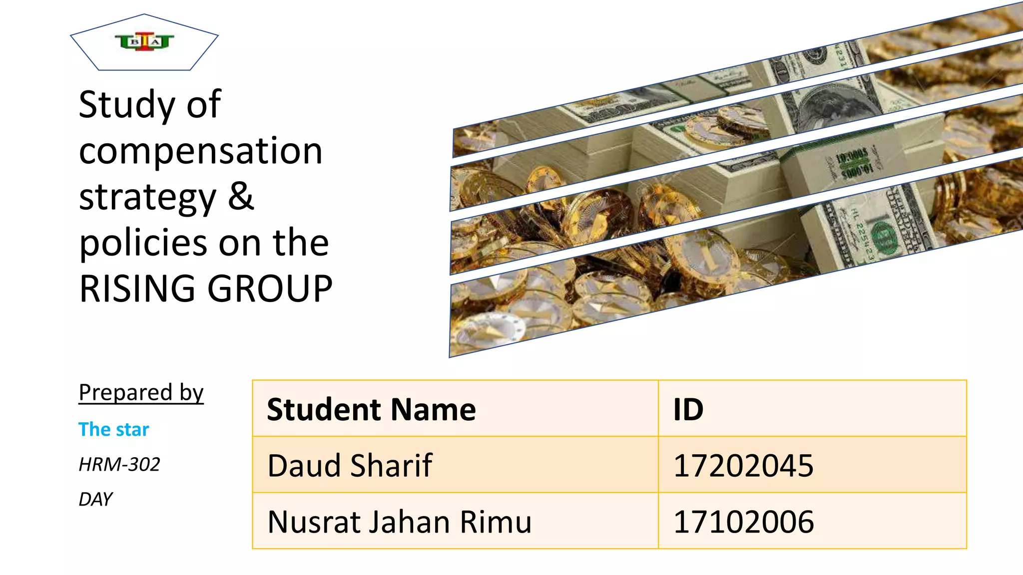 Study of compensation strategy & policy on the Rising Group | PPTX