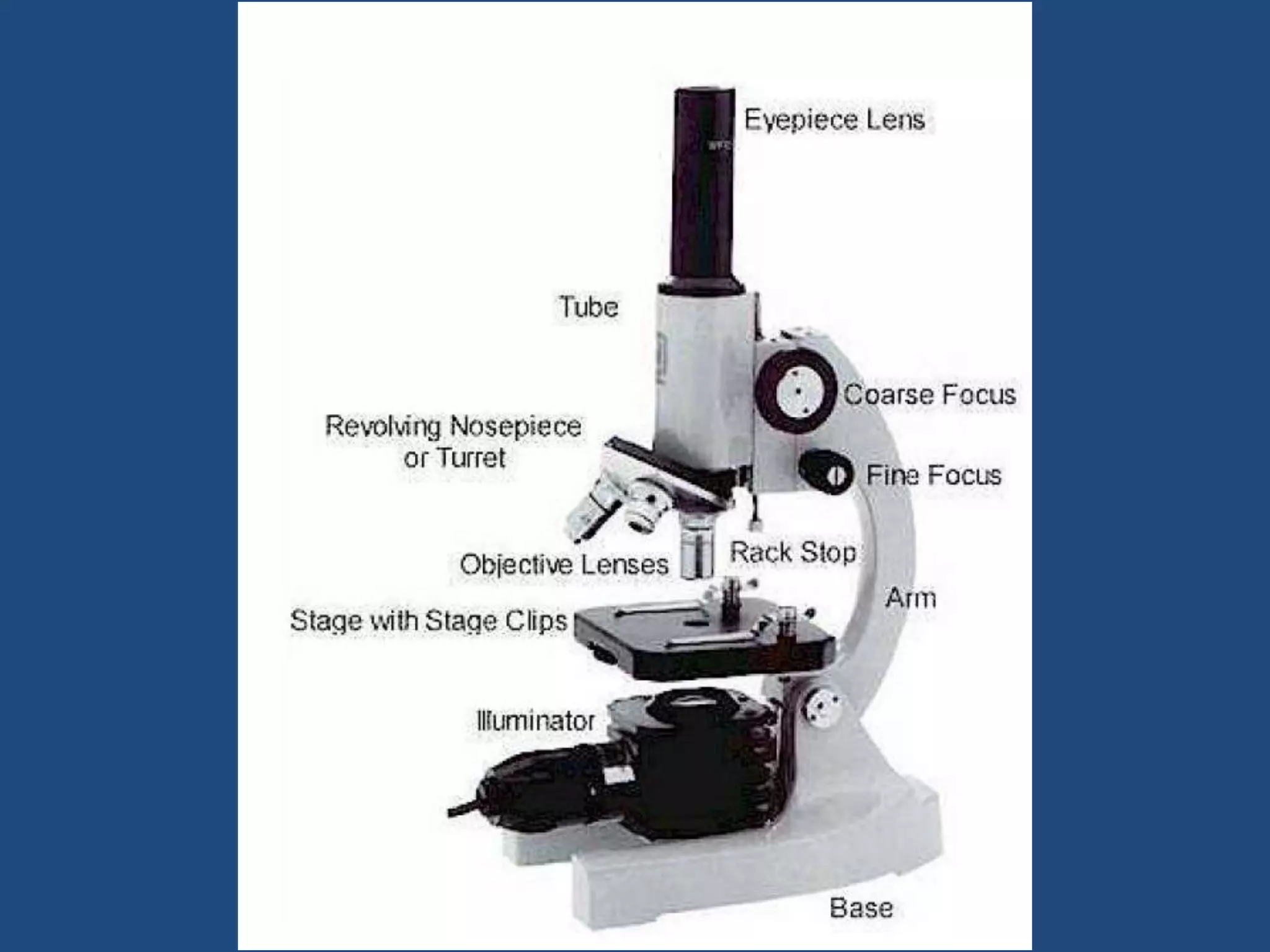 Study of compound microscope | PPT