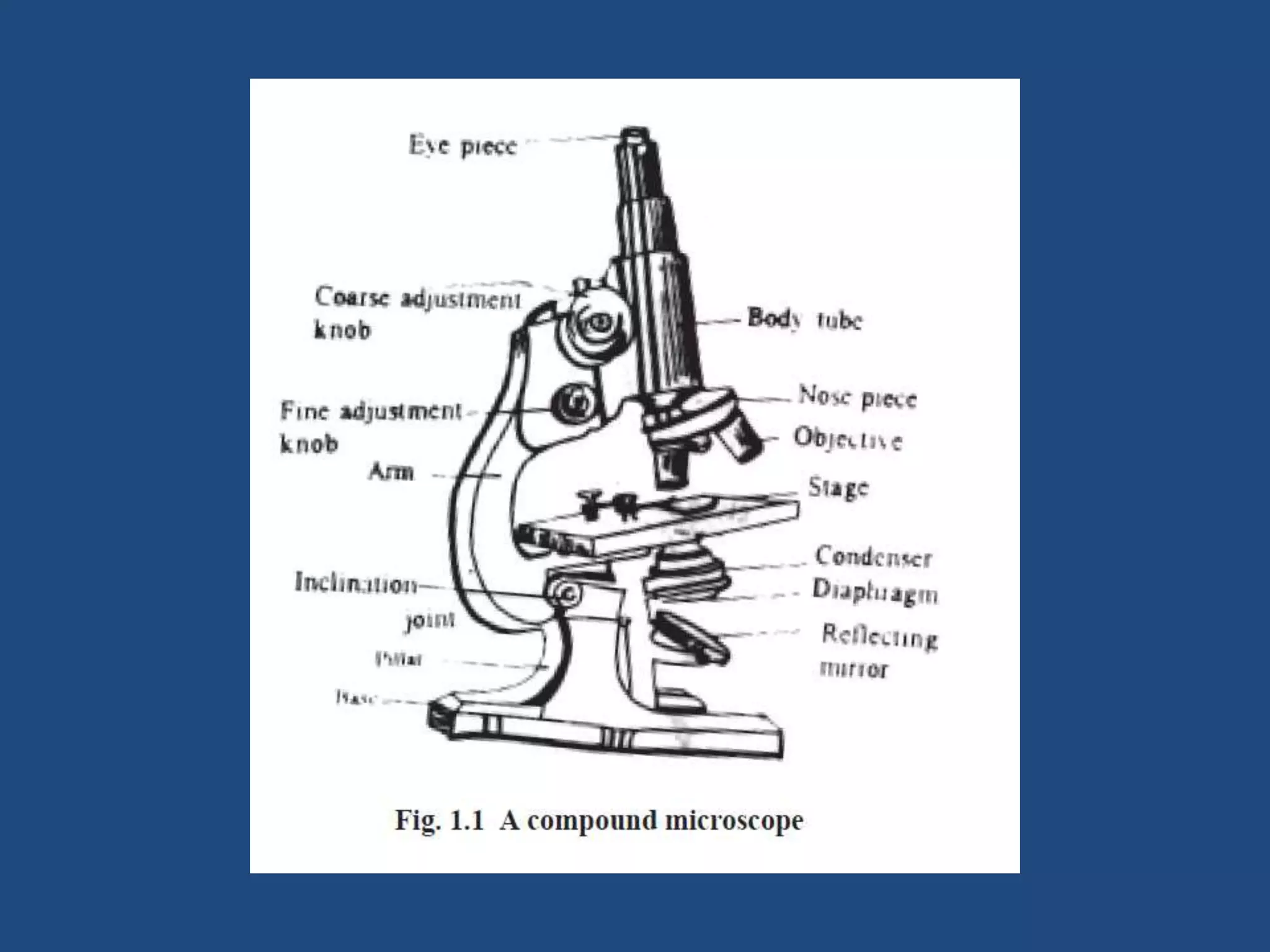 Study of compound microscope | PPT