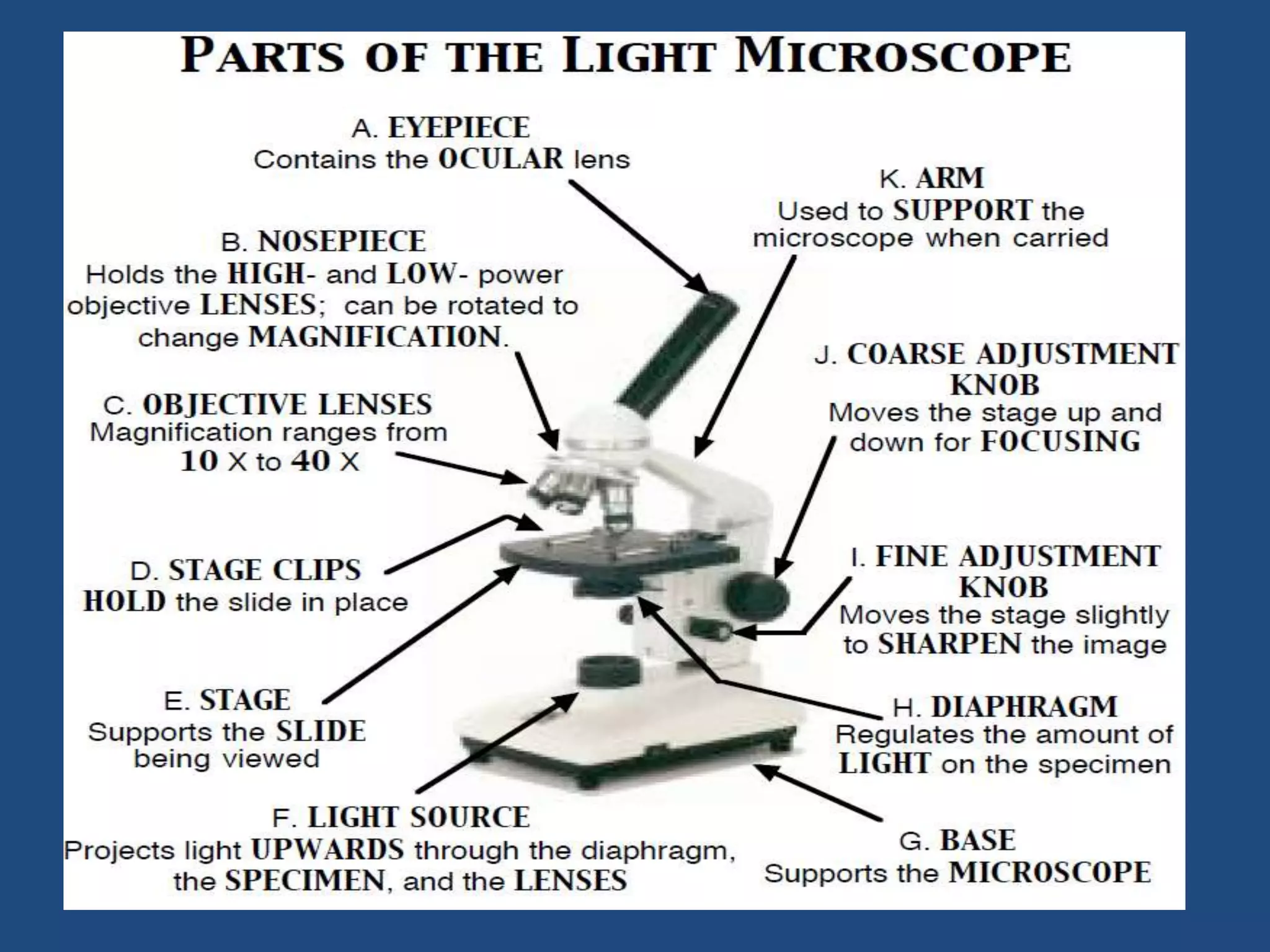 Study of compound microscope | PPT
