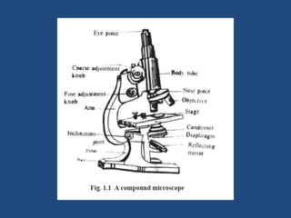 Study of compound microscope | PPT