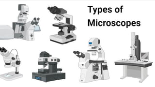 study of compound microscope to understand the working principle and ...