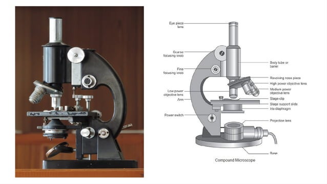 study of compound microscope to understand the working principle and ...