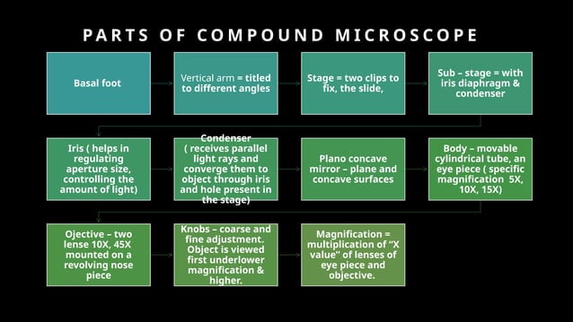 study of compound microscope to understand the working principle and ...