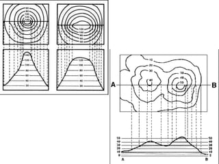 Study of contours.pptx