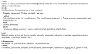 Study of diff families if angiosperms | PPTX