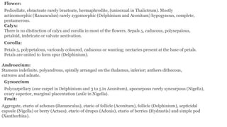 Study of diff families if angiosperms | PPTX