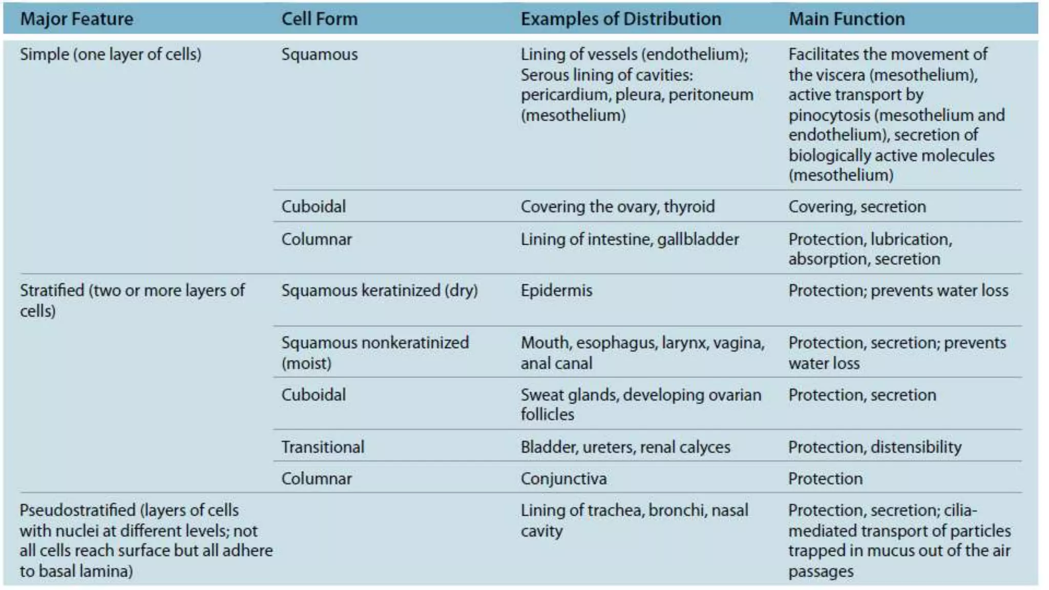 study of epithelium.pptx