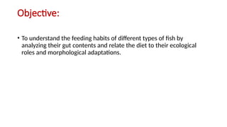 Study of Feeding Habits of Herbivorous, Carnivorous and Omnivorous Fish ...