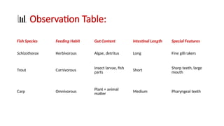 Study of Feeding Habits of Herbivorous, Carnivorous and Omnivorous Fish ...