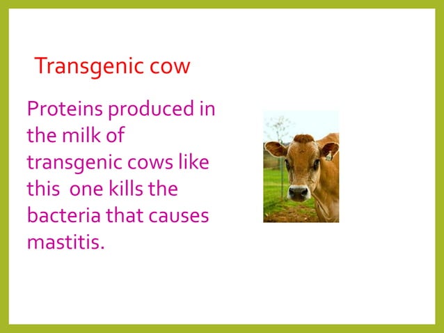 importance of genetics | PPTX