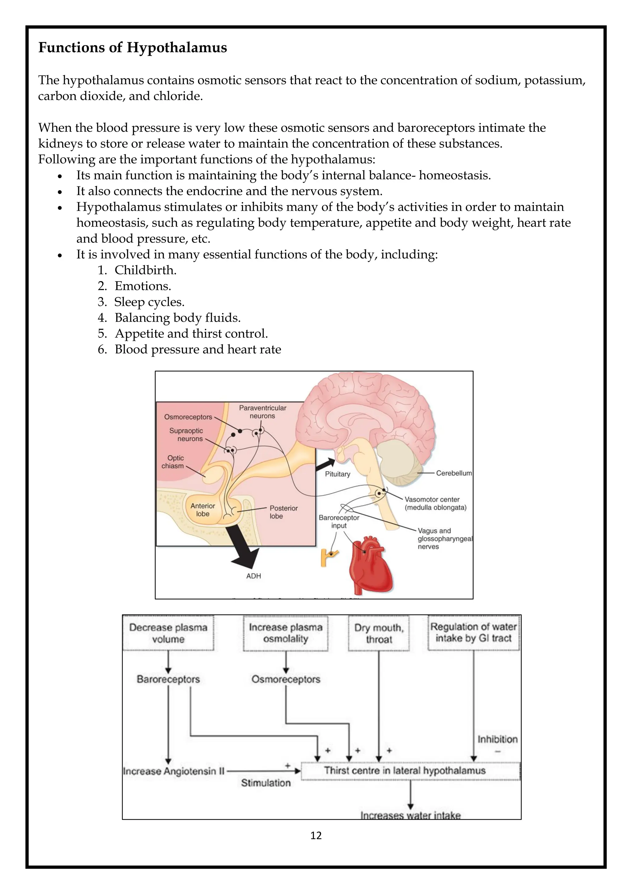Class 11-Biology Investigatory Project-Study of Hormones.pdf