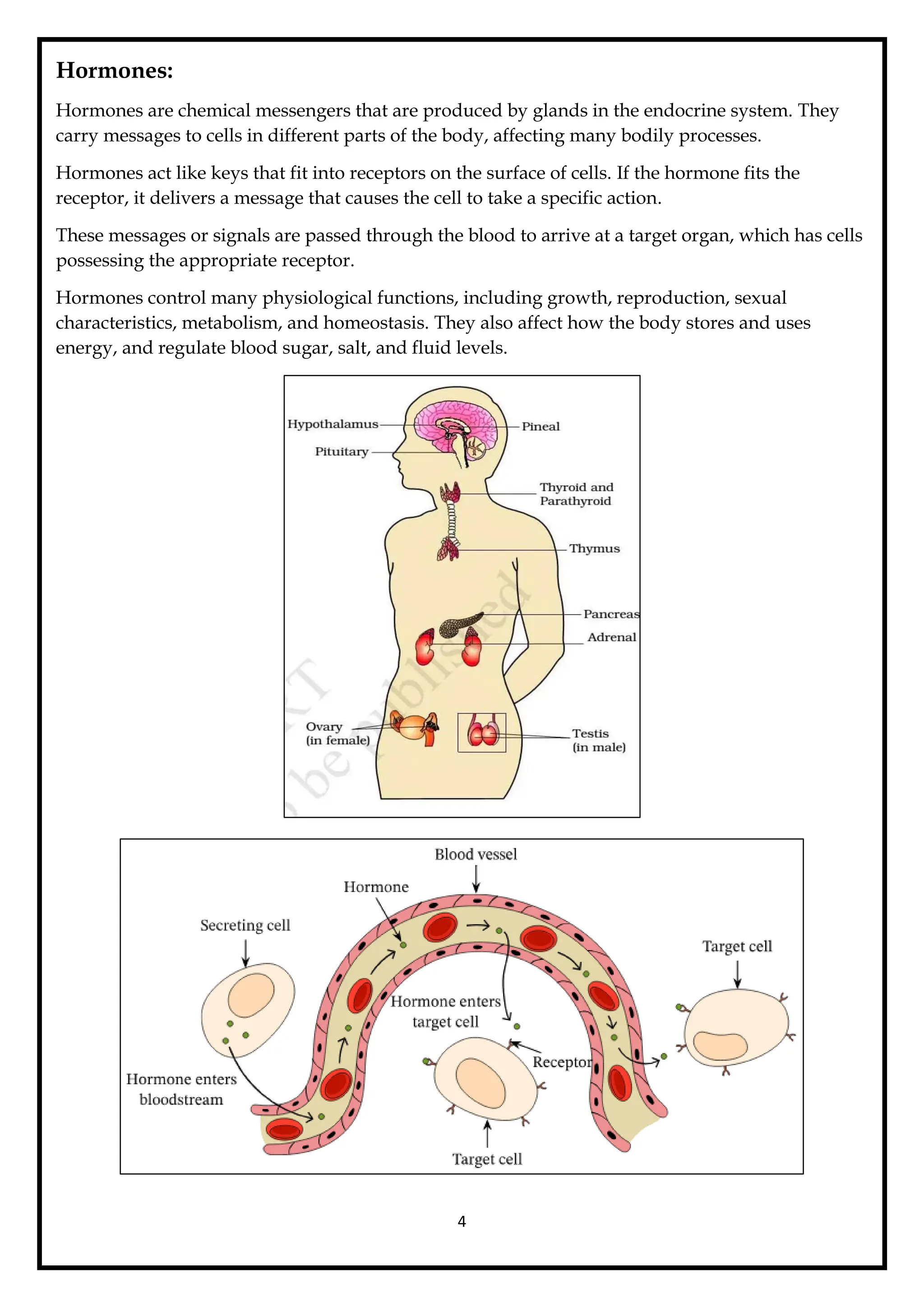 Class 11-Biology Investigatory Project-Study of Hormones.pdf
