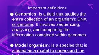 Study of Human Genome .LO.7.pptx. uncompleted Presentation done by a ...