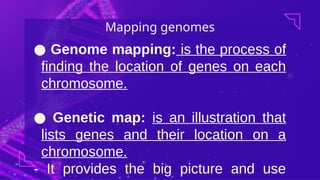 Study of Human Genome .LO.7.pptx. uncompleted Presentation done by a ...