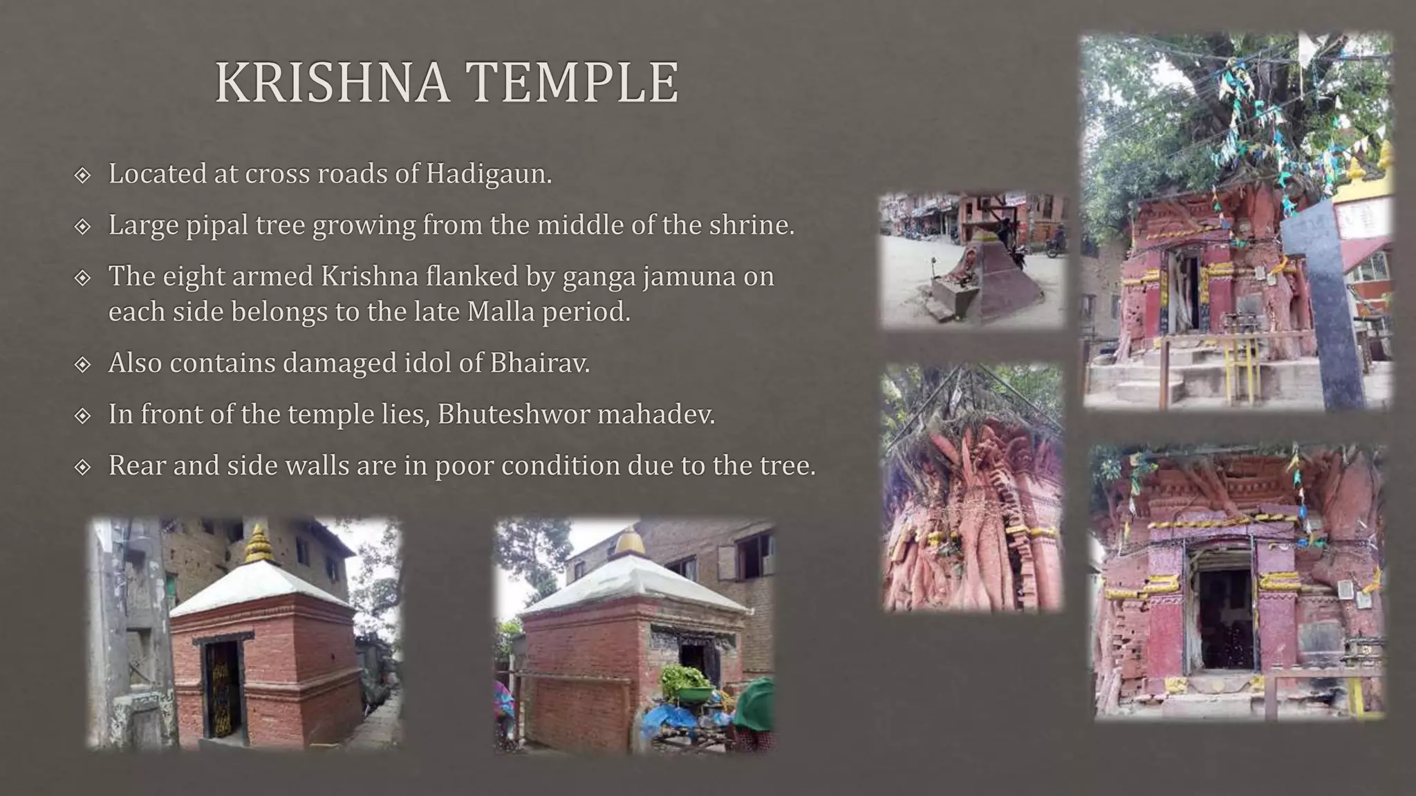 Study of krishna, bhagwati and dhanaganesh in hadigaun | PPT