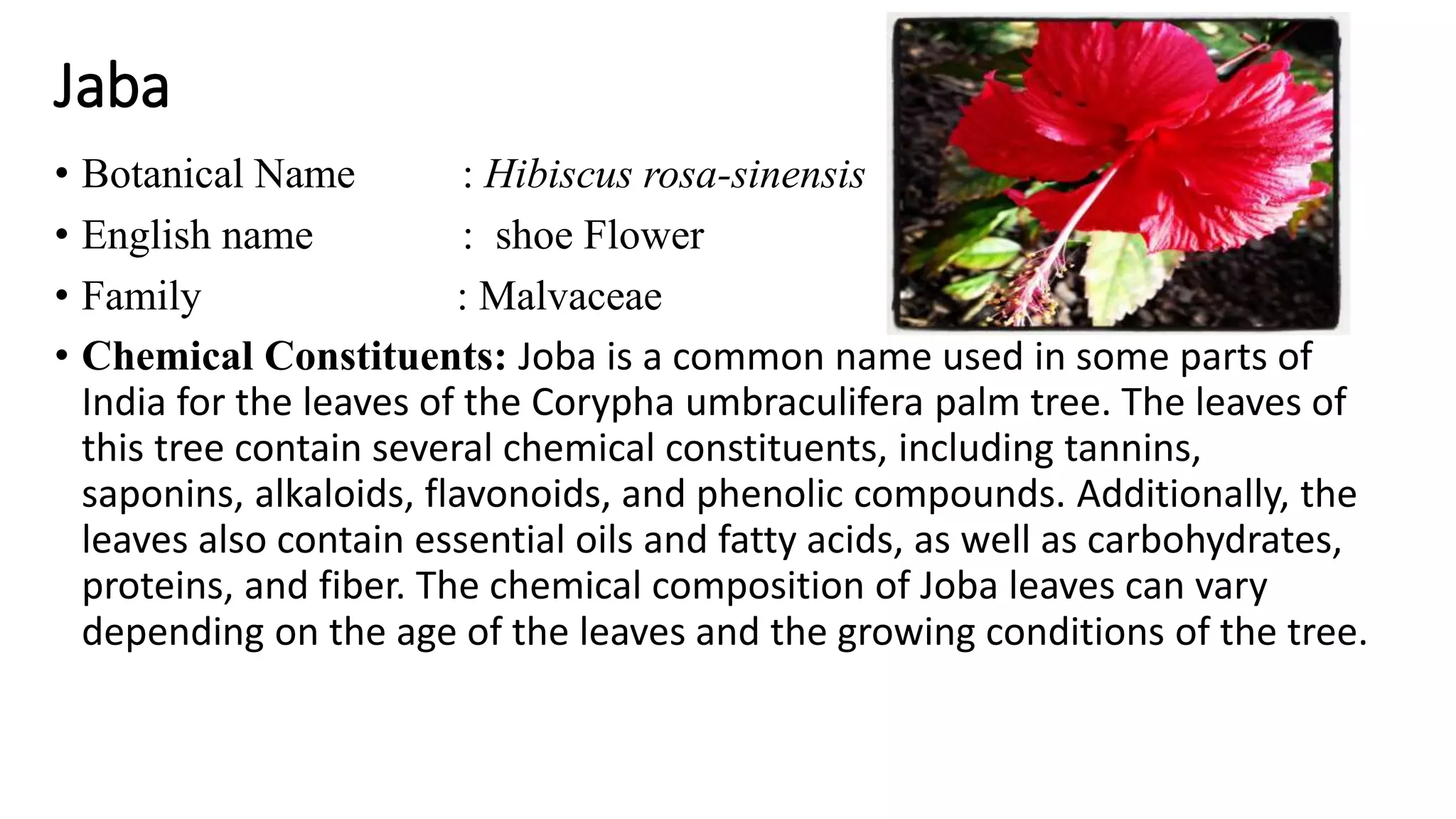 Study of Medicinal Plant of Bangladesh ( lab).pptx