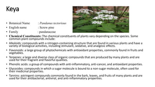 Study of Medicinal Plant of Bangladesh ( lab).pptx