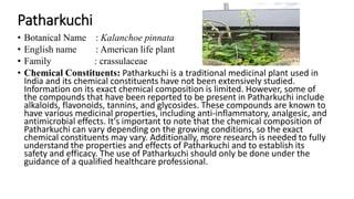 Study of Medicinal Plant of Bangladesh ( lab).pptx