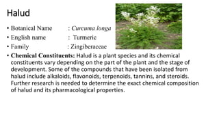 Study of Medicinal Plant of Bangladesh ( lab).pptx