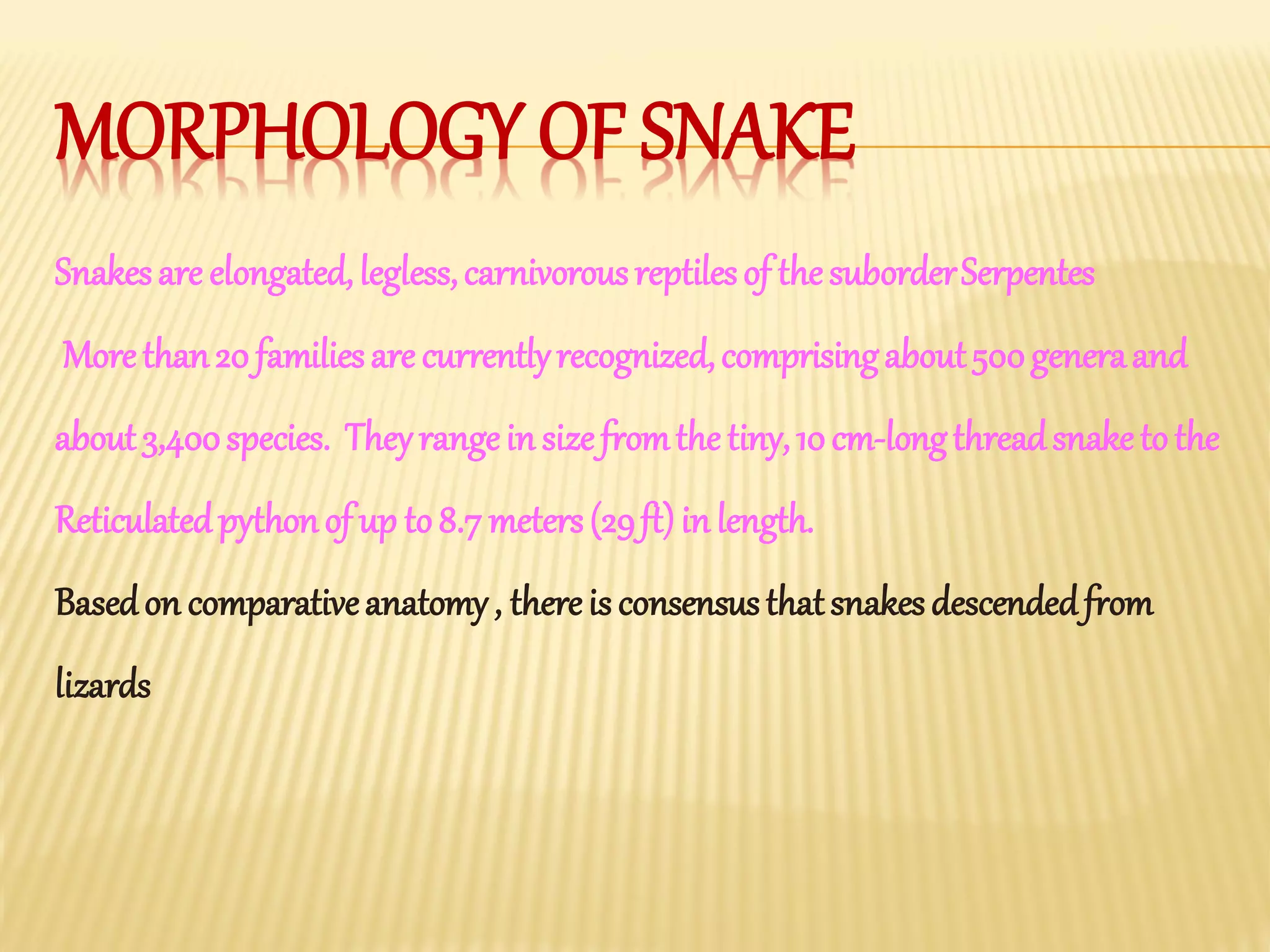 Study of ophidia group | PDF