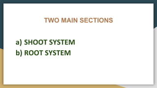 Study of plants | PDF