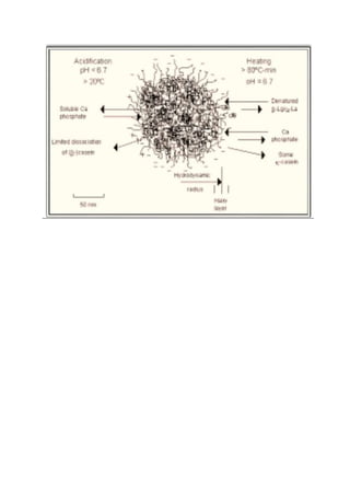 Study of quantity of caesin present in different samples of milk | DOCX