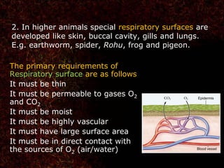 Study of respiration and circulation | PDF