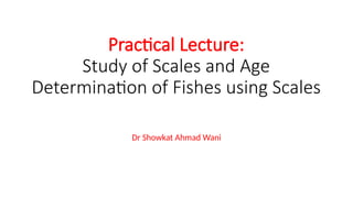 Study of Scales and Age Determination of Fishes using Scales[.pptx