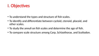 Study of Scales and Age Determination of Fishes using Scales[.pptx
