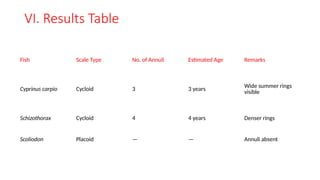 Study of Scales and Age Determination of Fishes using Scales[.pptx