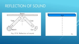 Study of sound | PPTX | Physics | Science