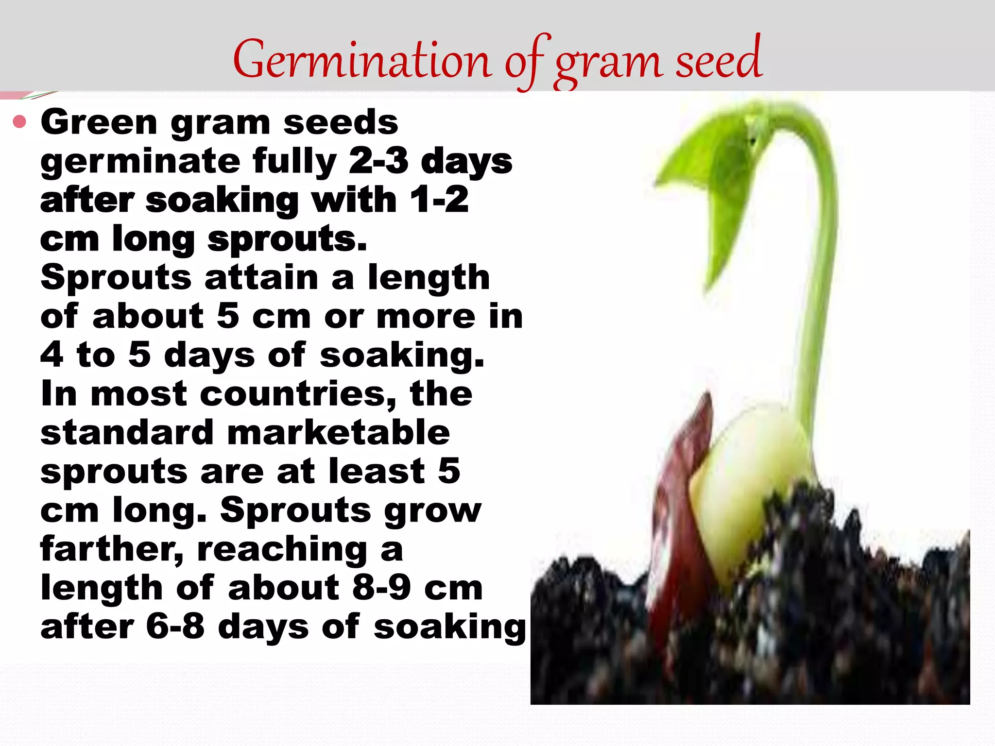 STUDY OF STARCH BREAKDOWN IN GERMINATING GRAM SEEDS.pptx