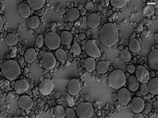 STUDY OF STARCH BREAKDOWN IN GERMINATING GRAM SEEDS.pptx