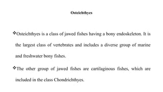 Study of Structure and Classification of Bony Fishes.pptx