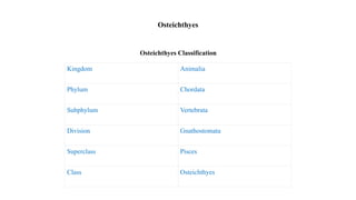 Study of Structure and Classification of Bony Fishes.pptx