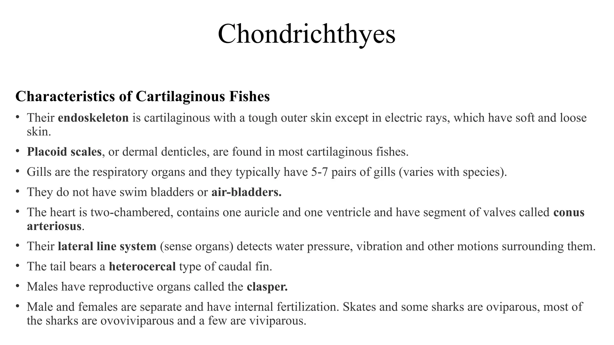 Study of Structure and Classification of Cartiliginous Fishes.pptx