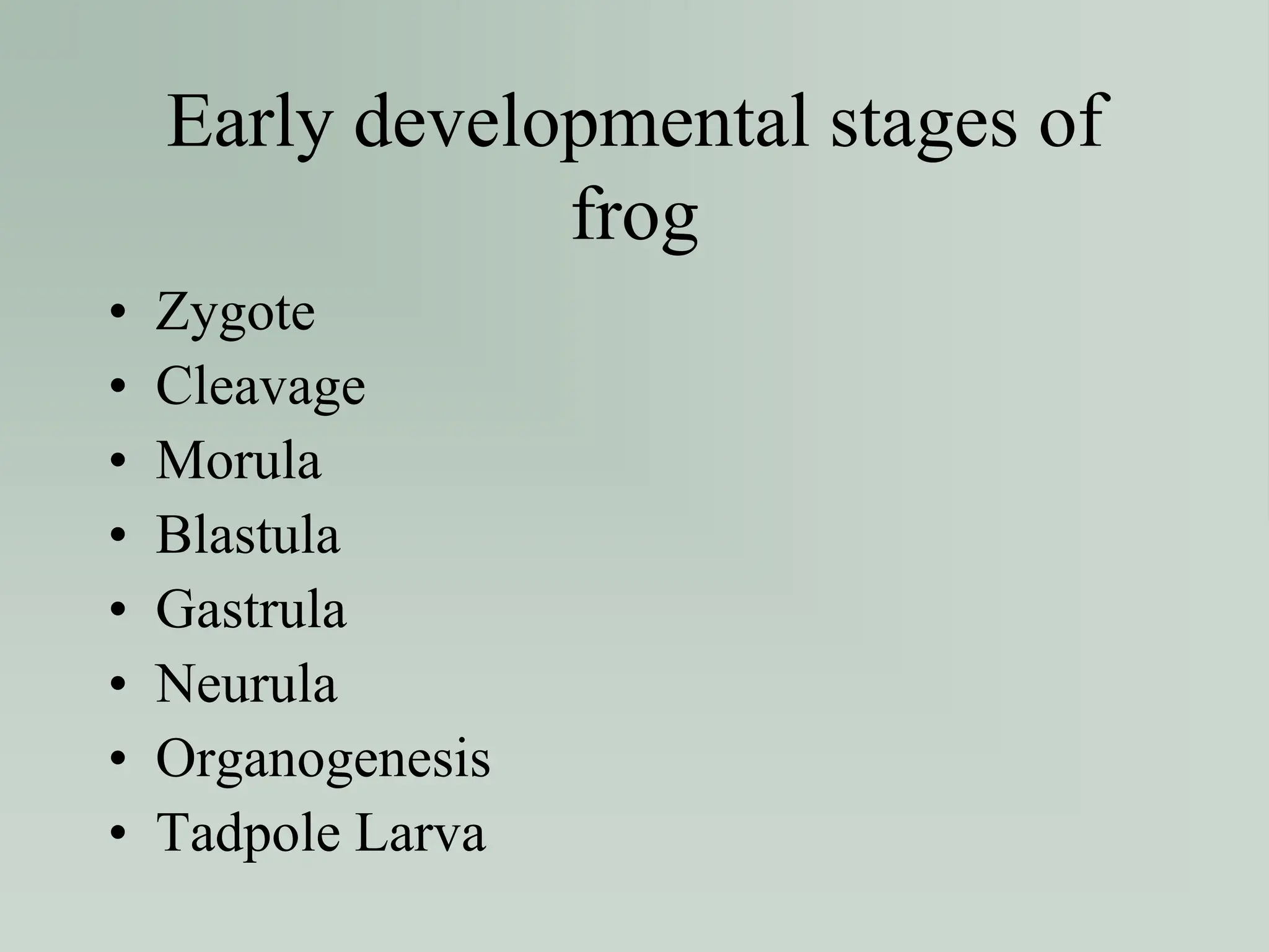 Study of Structure of Gametes in Sea urchin (1).pptx